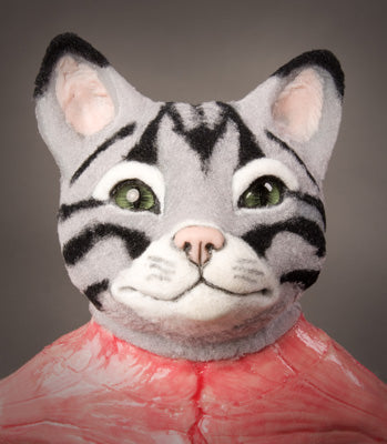 Dissected Cat Model – The Science Bank