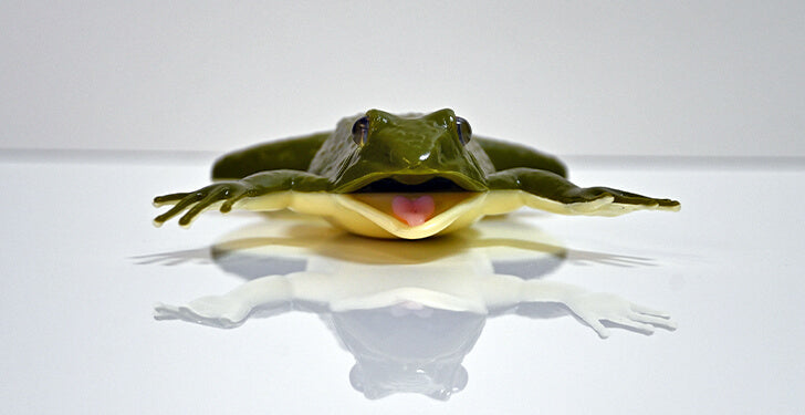Kind Frog™ – The Science Bank
