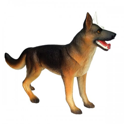 4D Vision Dog Model – The Science Bank