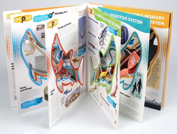 Uncover A Shark Book – The Science Bank